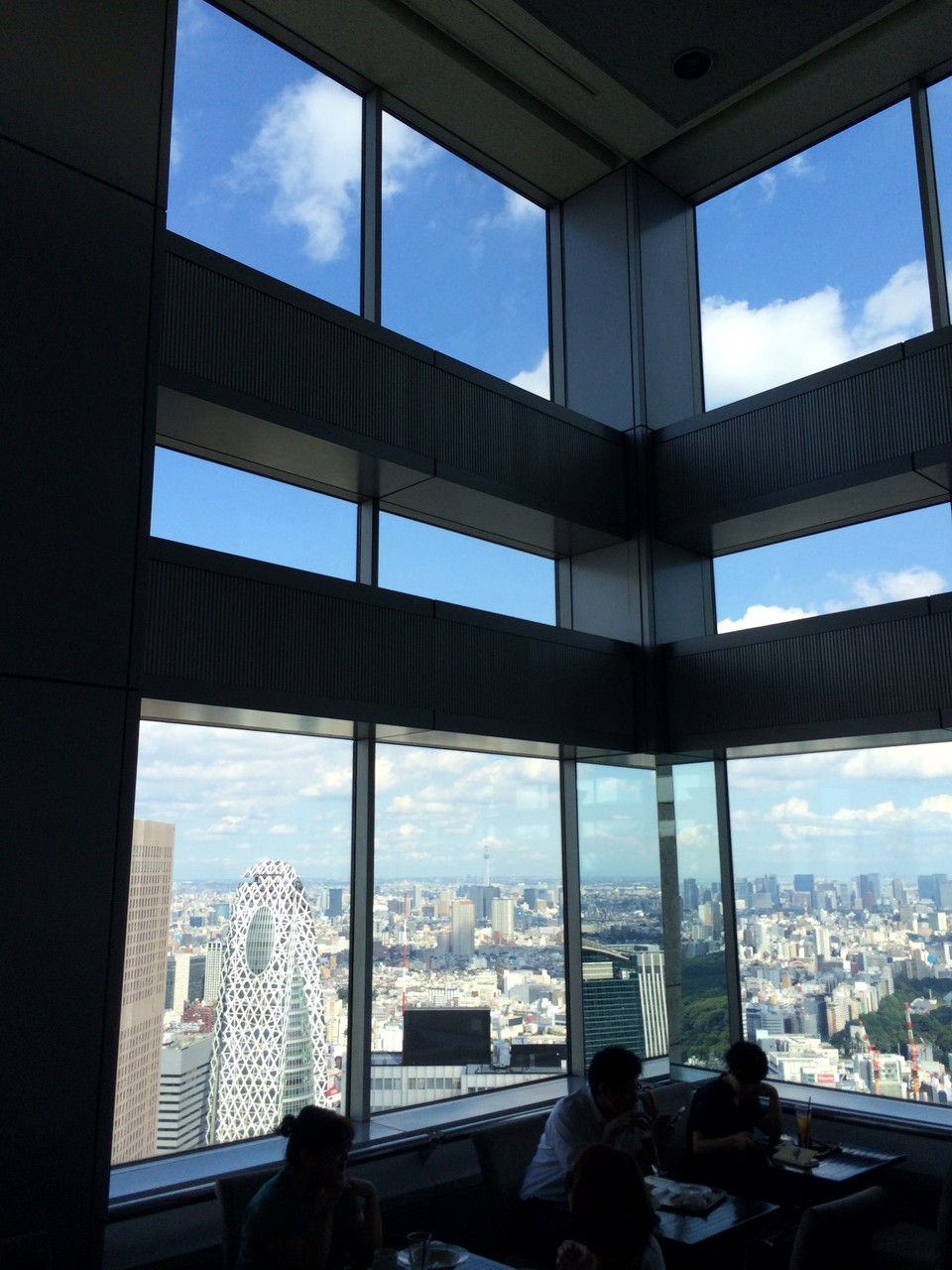 Tokyo Metropolitan Government Building Observatories - Picrumb