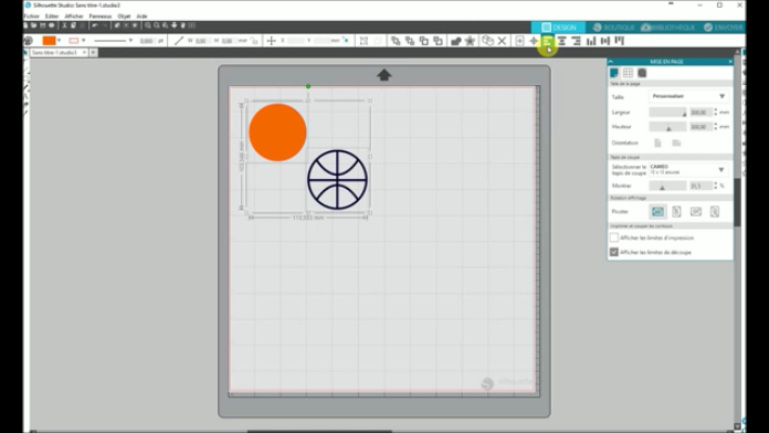 FORMATION COMPLETE - CAMEO ou portrait - Abonnement mensuel - sans ...