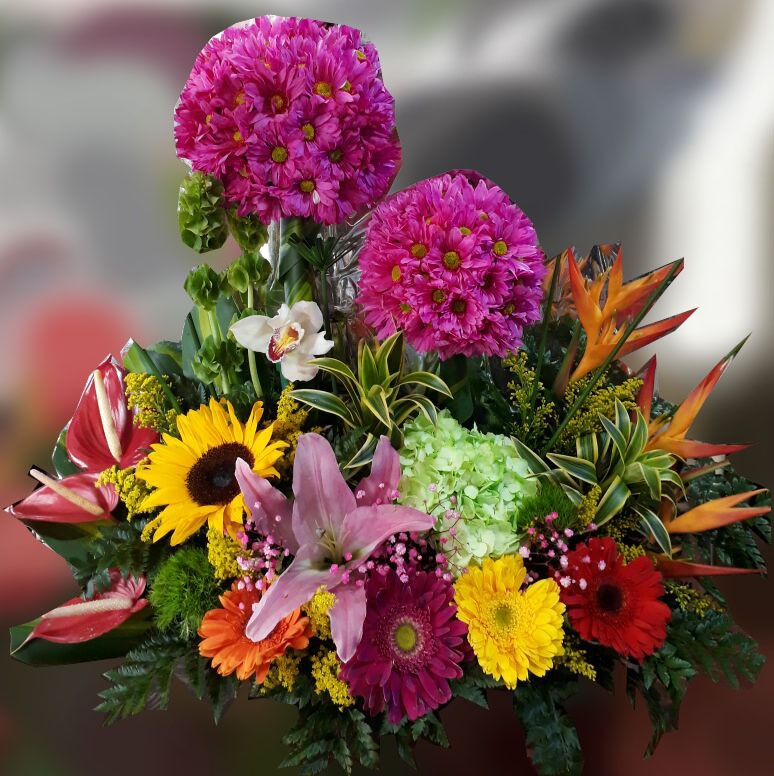 FLORISTERÍA MAYELI - Página web de floristeriamayeli