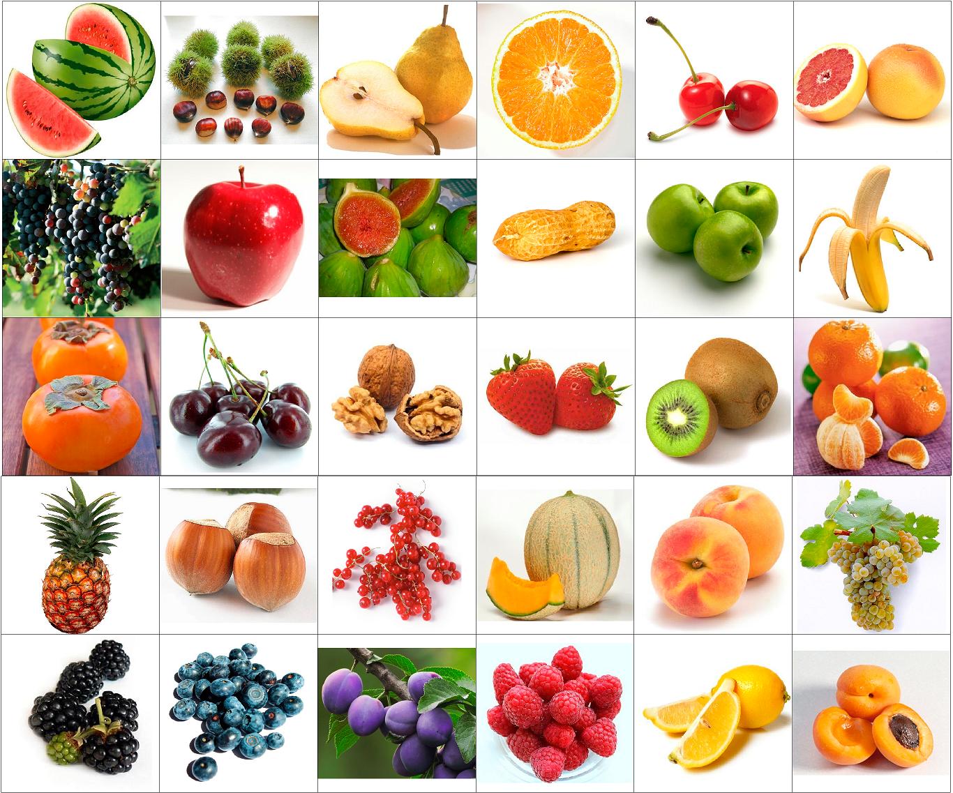 Tessere - Tuttoaba.com Materiali per le sessioni ABA