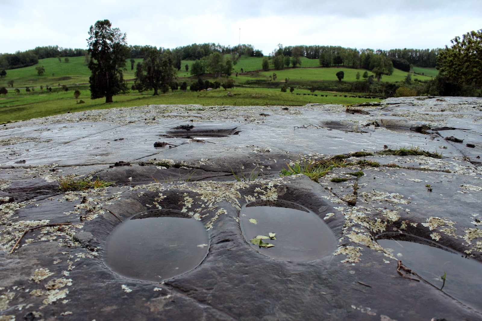 Comunidad Mapuche Huilliche Isla Huapi - Página web de cabanaslita