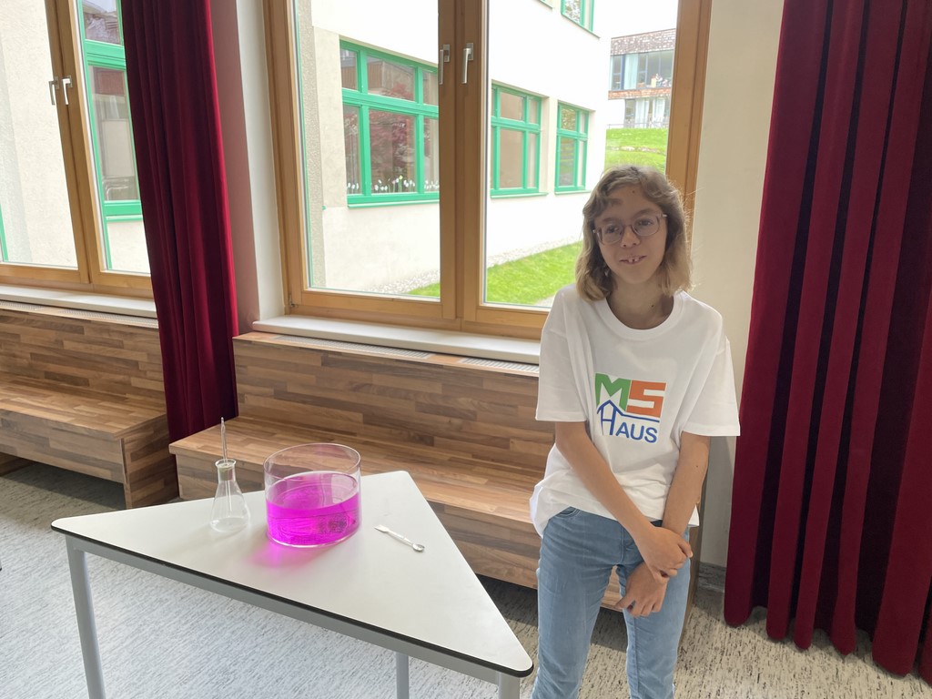 Tag der offenen Tür an MS Haus... - ms-haus.at