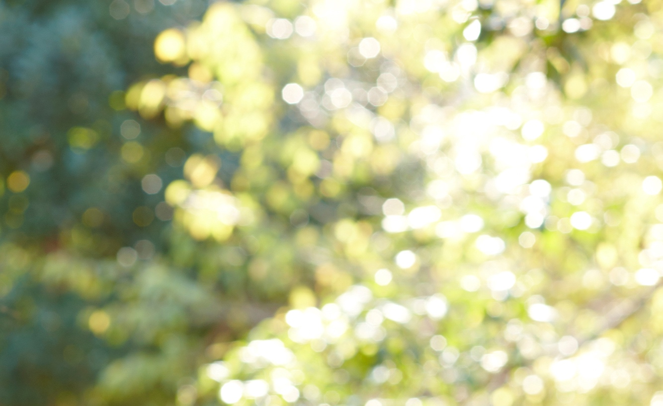 Kyogi - Design materials from Japan GREENGABES