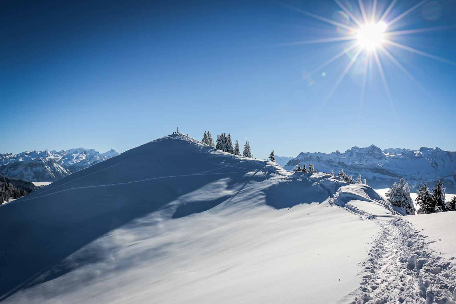 Trevista AG - Steuerberatung Buchhaltung Revision in Berikon - Trevista ...