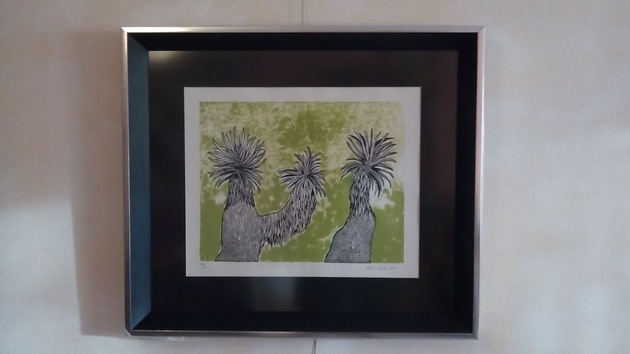 Enmarcado - Sistema para colgar cuadros -hanging system