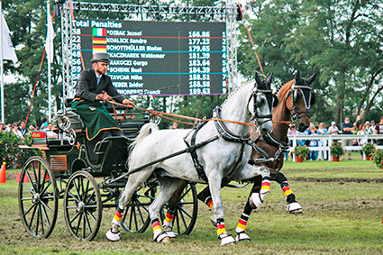 Warneck gewinnt Bronze mit dem Team - BeaMon-Verlag/Pferde im Osten