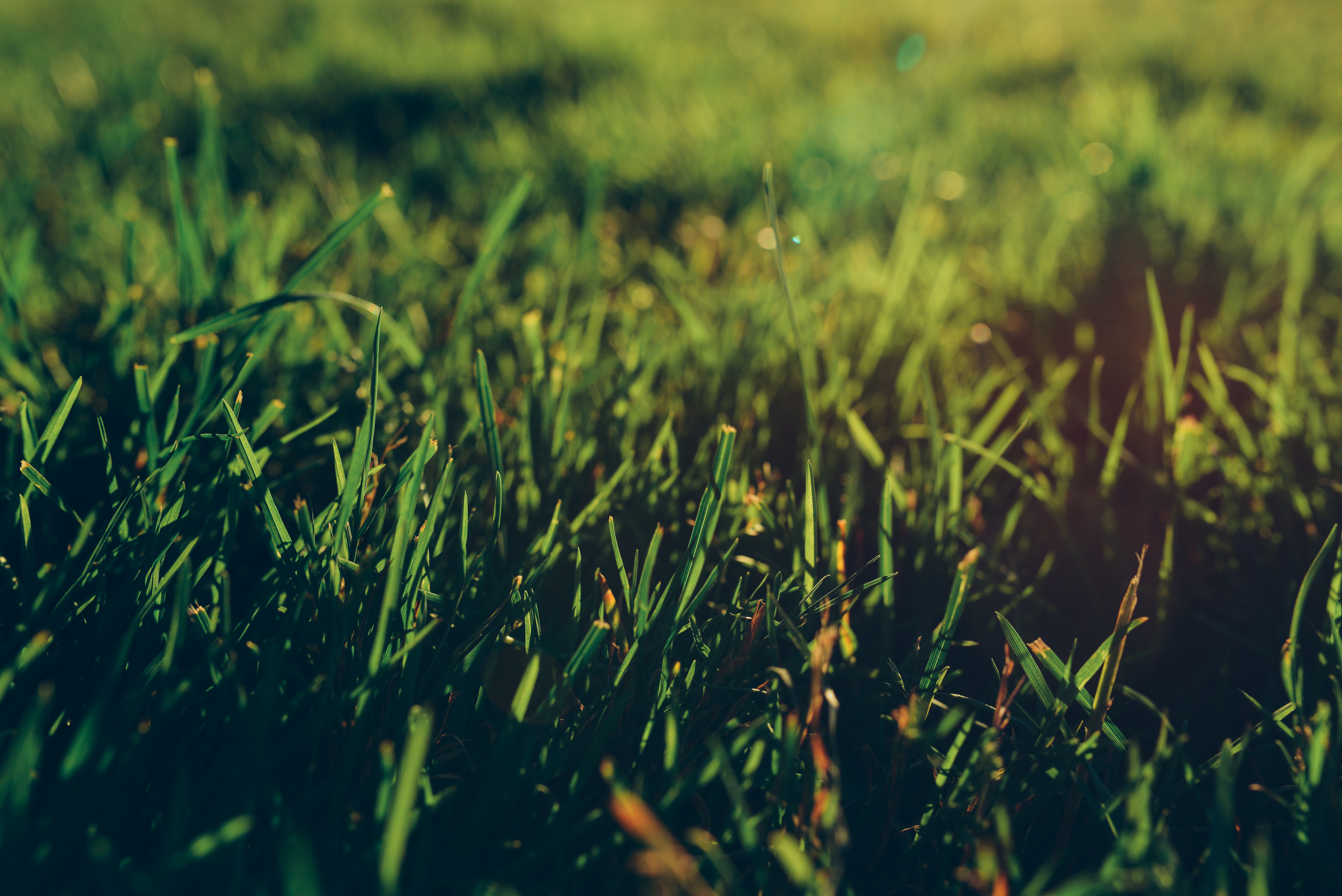 The Reconnection® - reconnective-healings Webseite!