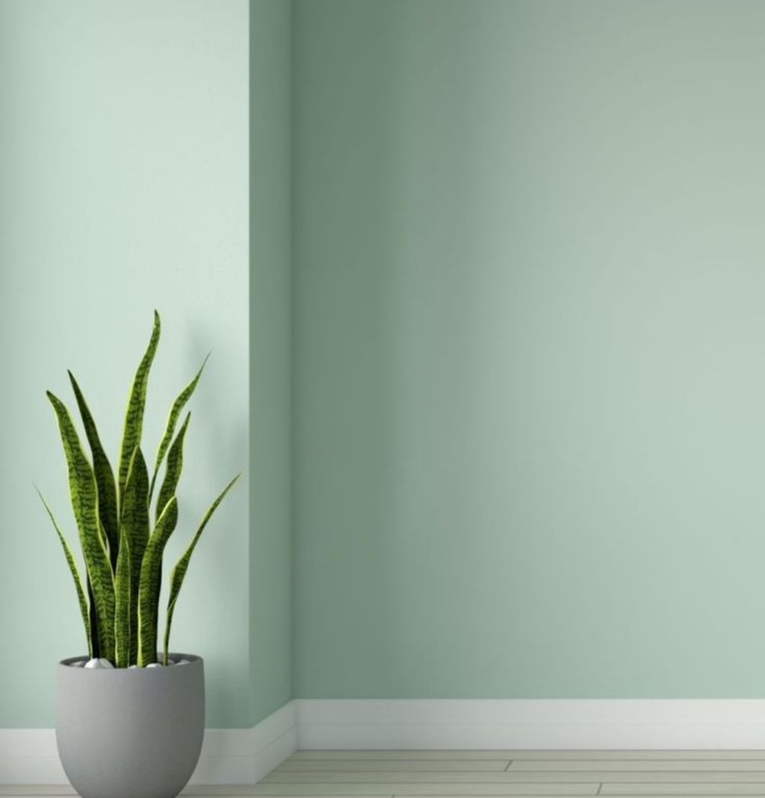 Significado Del Color Verde Pastel - PINTORES PINTSERCEBA