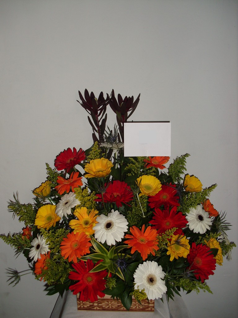 Arreglos Elaborados en Gerberas - floristeriadiego.Jimdo.com