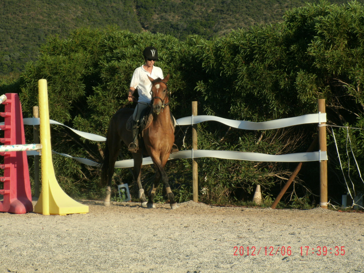 Le cheval au travail - Esprit Cheval NC