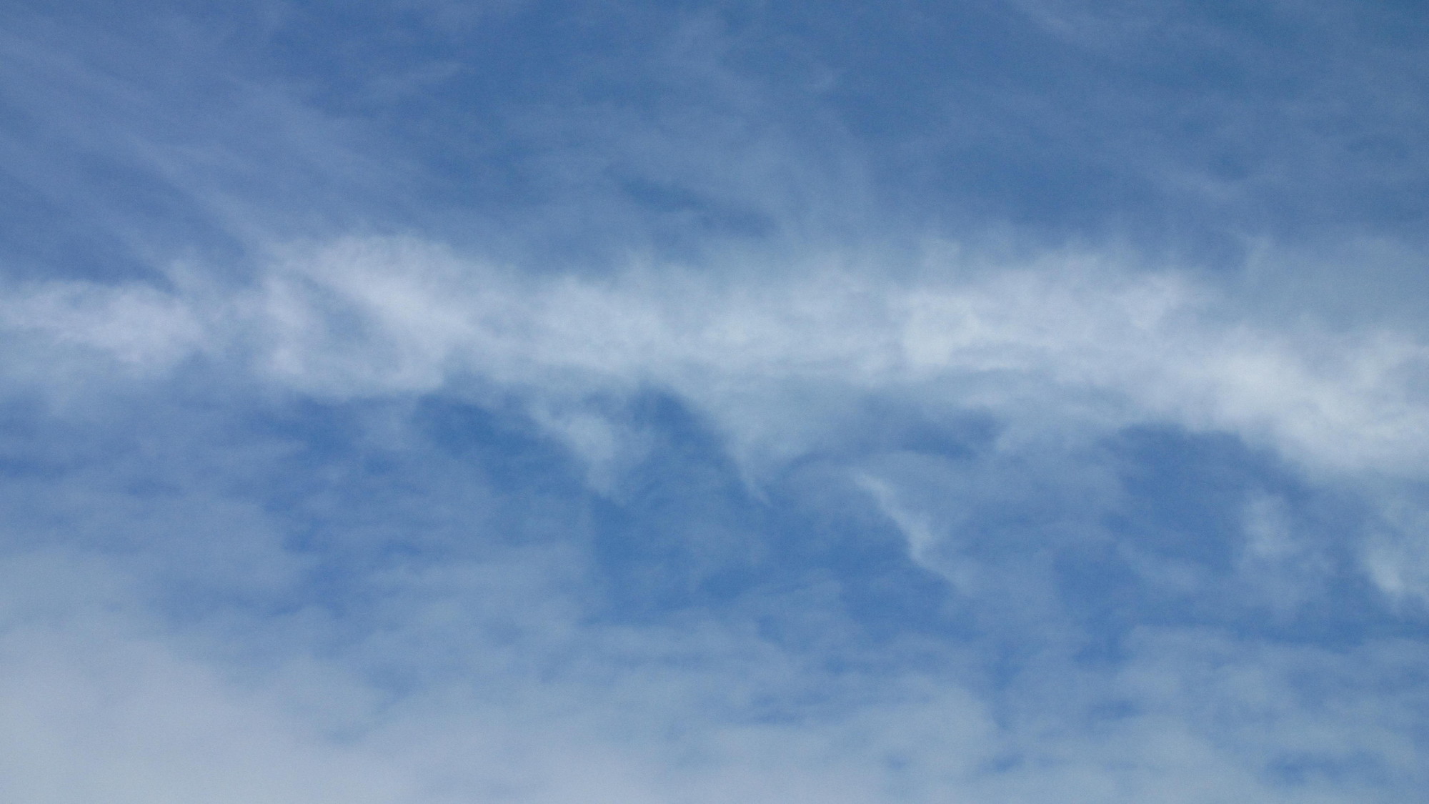 Albums photos 2022 - Site de athle rhuys