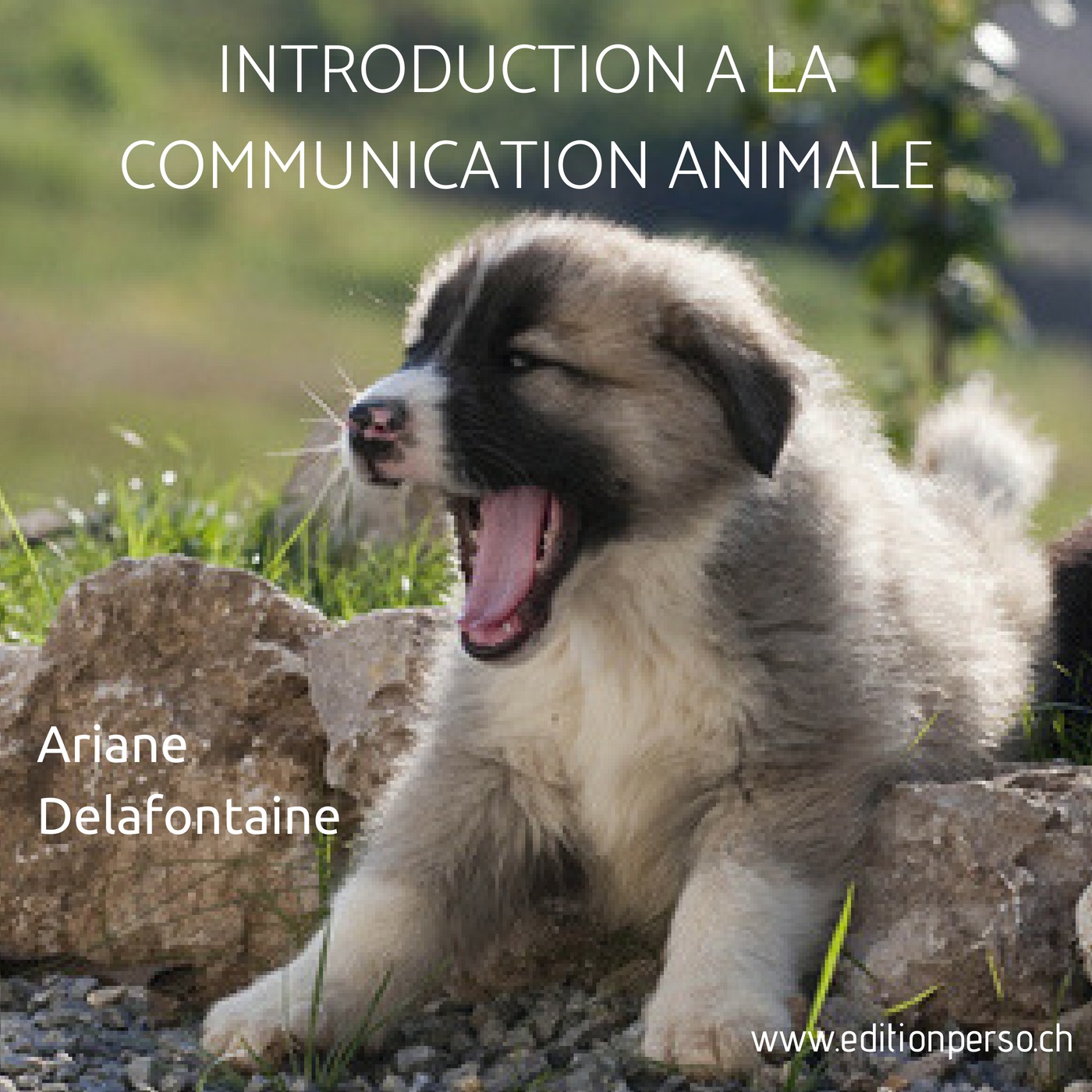 Formation en ligne - Site de editionperso