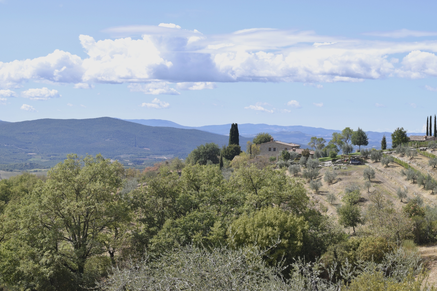 Auf der Via Chiantigiana durch die Toskana - Reiseblog Ria on Tour