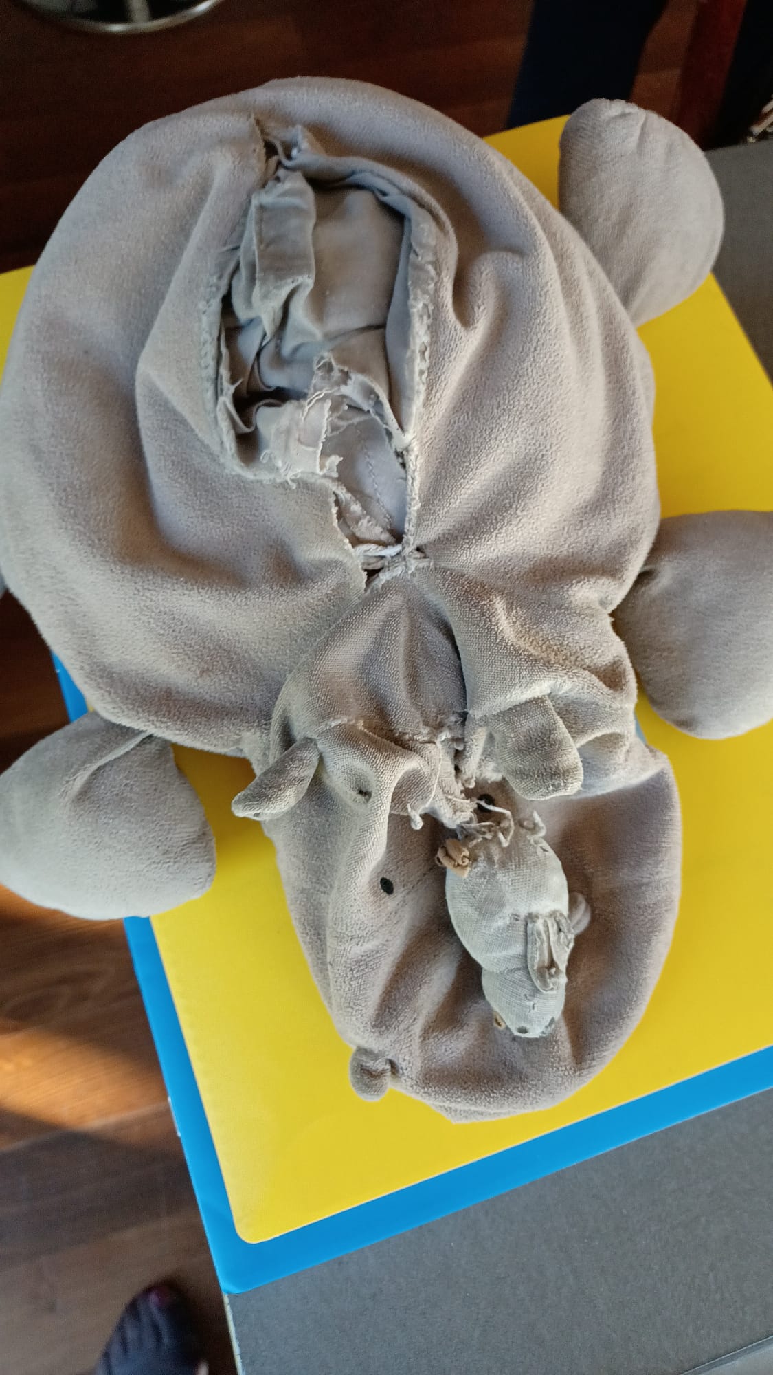 Réparation des ours et animaux en peluche - La Clinique des ours et des ...