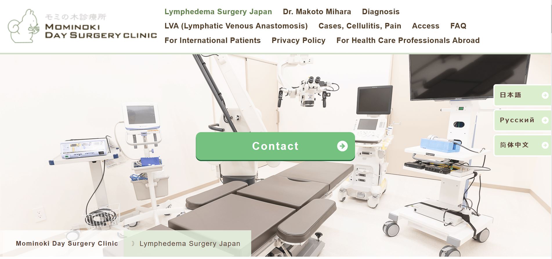 Lymphedema Surgery Japan, Dr. Mihara (Male) ＆ Dr. Hara (Female ...