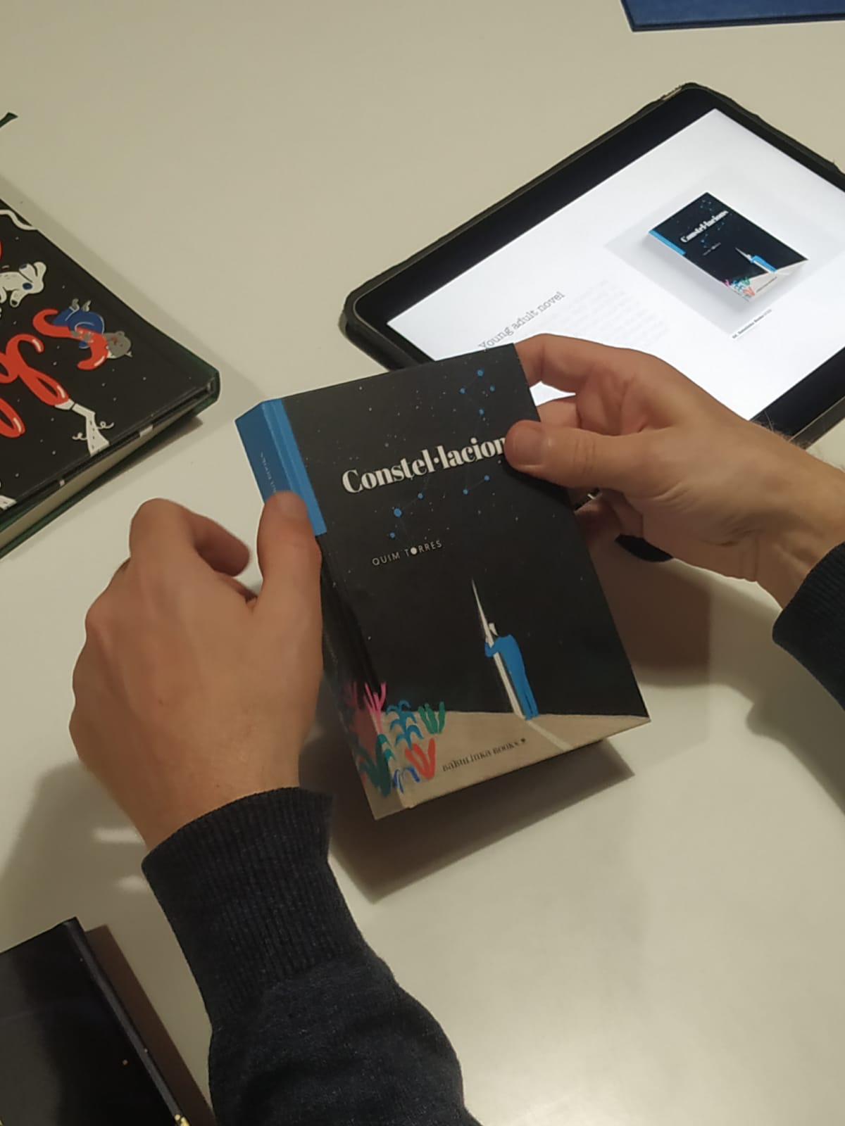 Illustrator*innen in Katalonien – zu Besuch bei Lara Costafreda ...