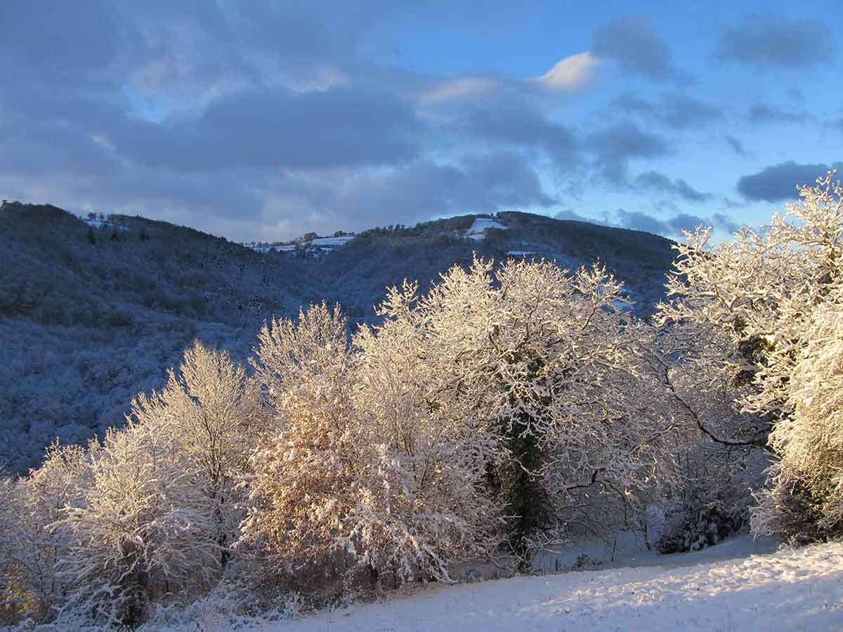 Pour nous Contacter - Le Martinez