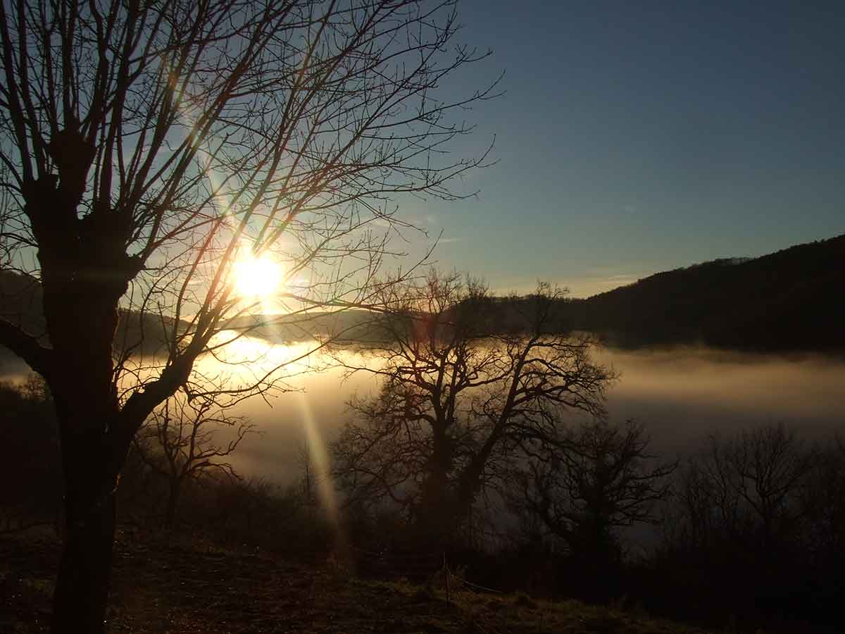 EVENEMENTIELS - Le Martinez