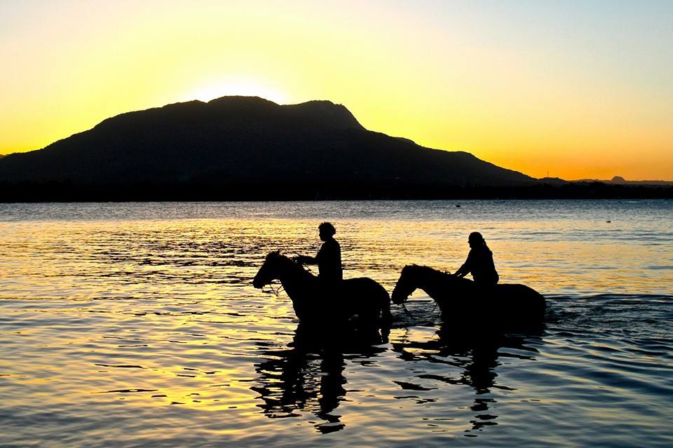 Sunset Horseback Riding - Aligatours - Anbieter von Individual Touren ...