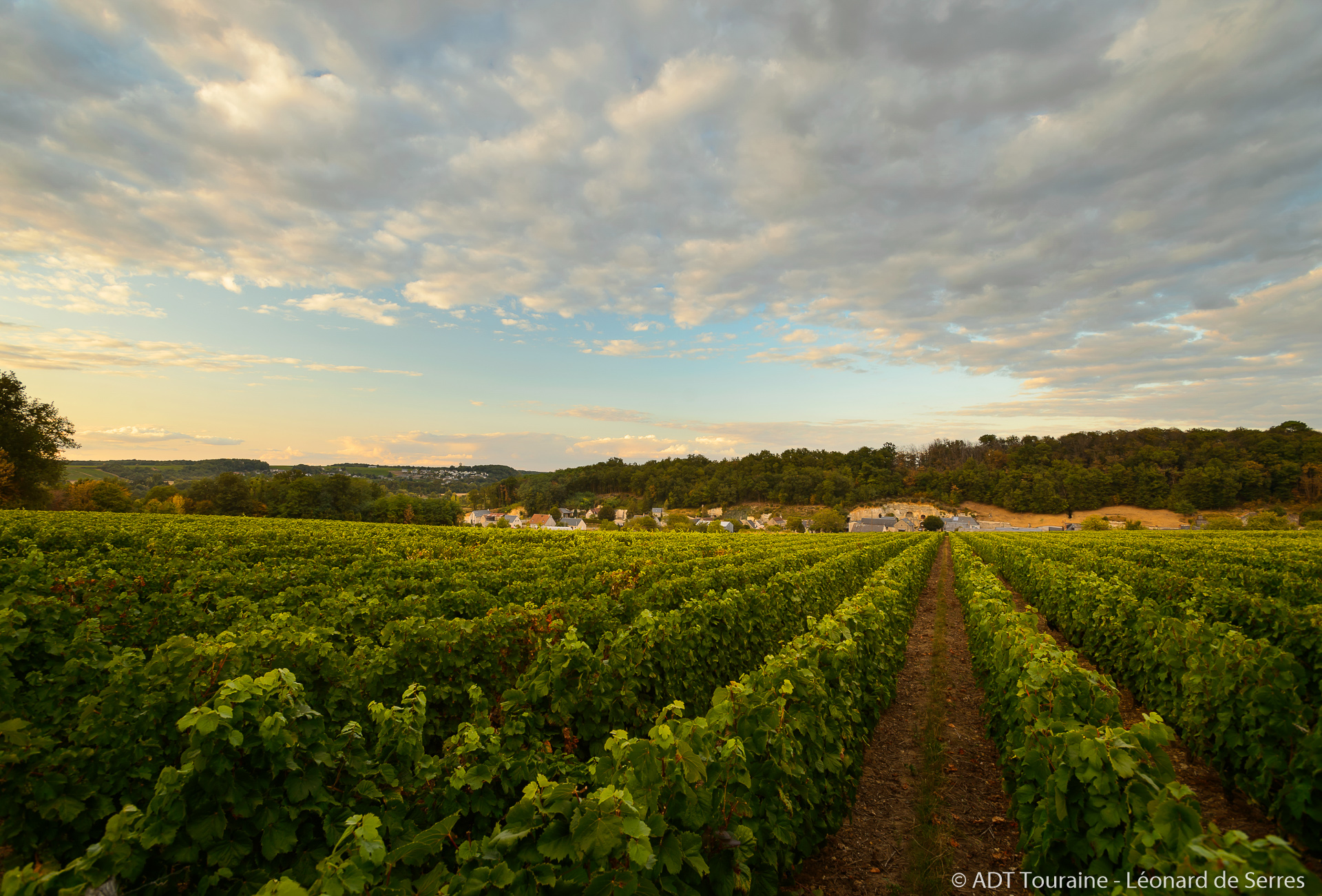 Ateliers du Printemps - RDV dans les Vignes