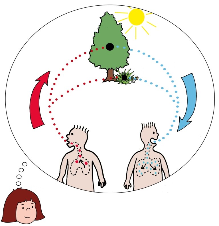Kann Sauerstoff mal alle sein? - Nela forscht - Naturwissenschaft für ...
