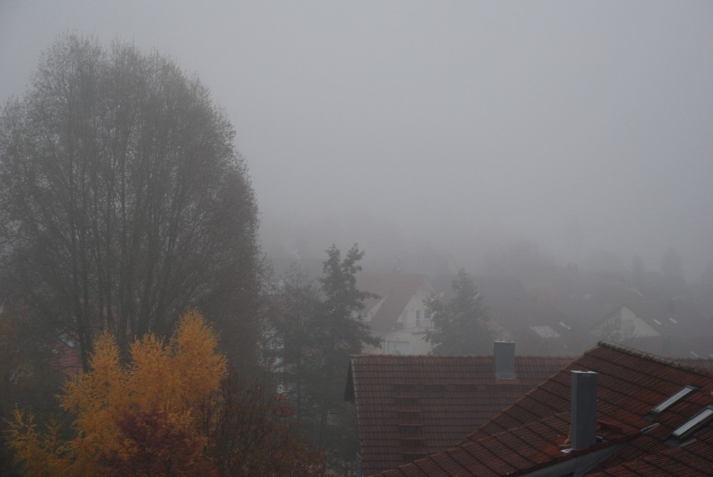 Was ist Nebel? - Nela forscht - Naturwissenschaft für Kinder