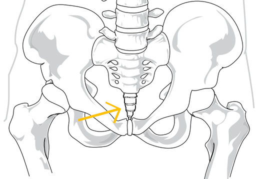 6. Evolution - Biologie-Unterricht im digitalen Zeitalter