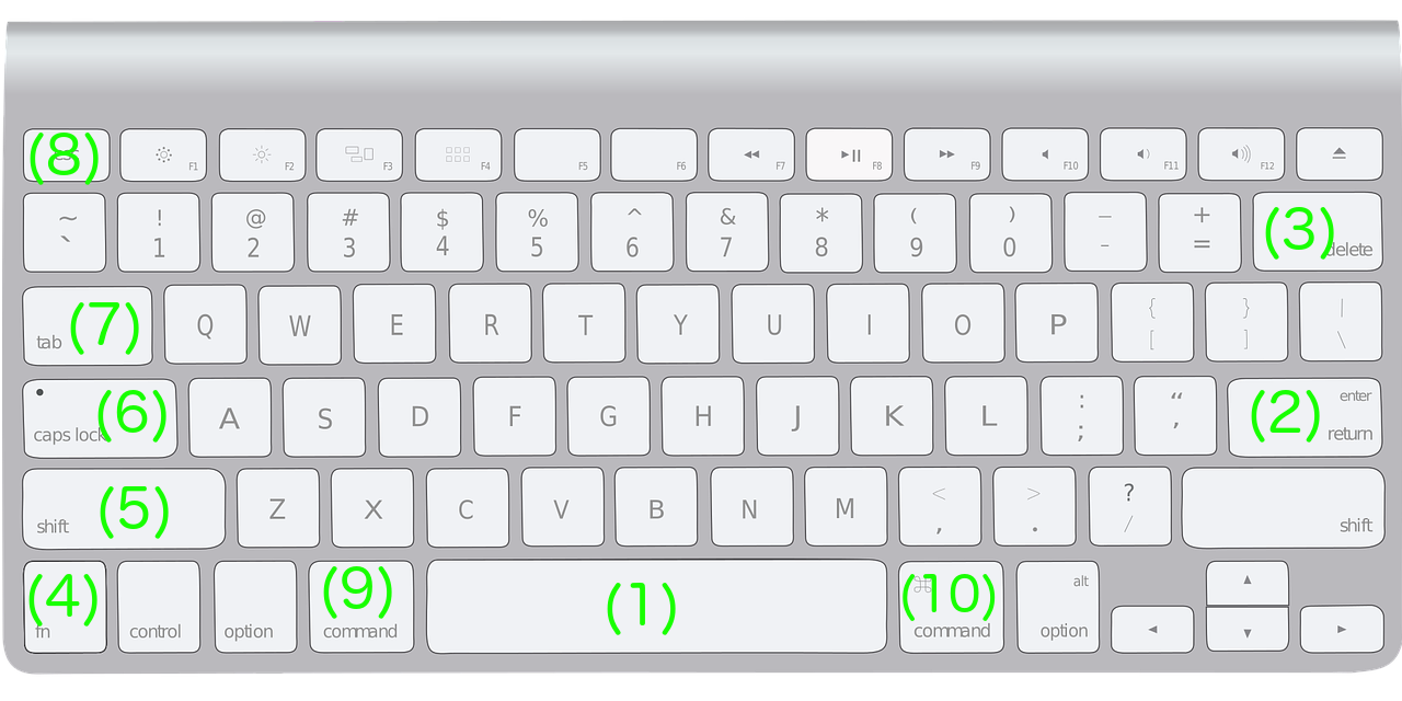 Tippen lernen - Biologie-Unterricht im digitalen Zeitalter