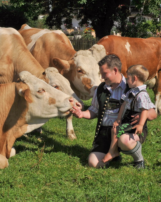 Willkommen in Obermoos! - Obermooser Bio-Hofkäserei