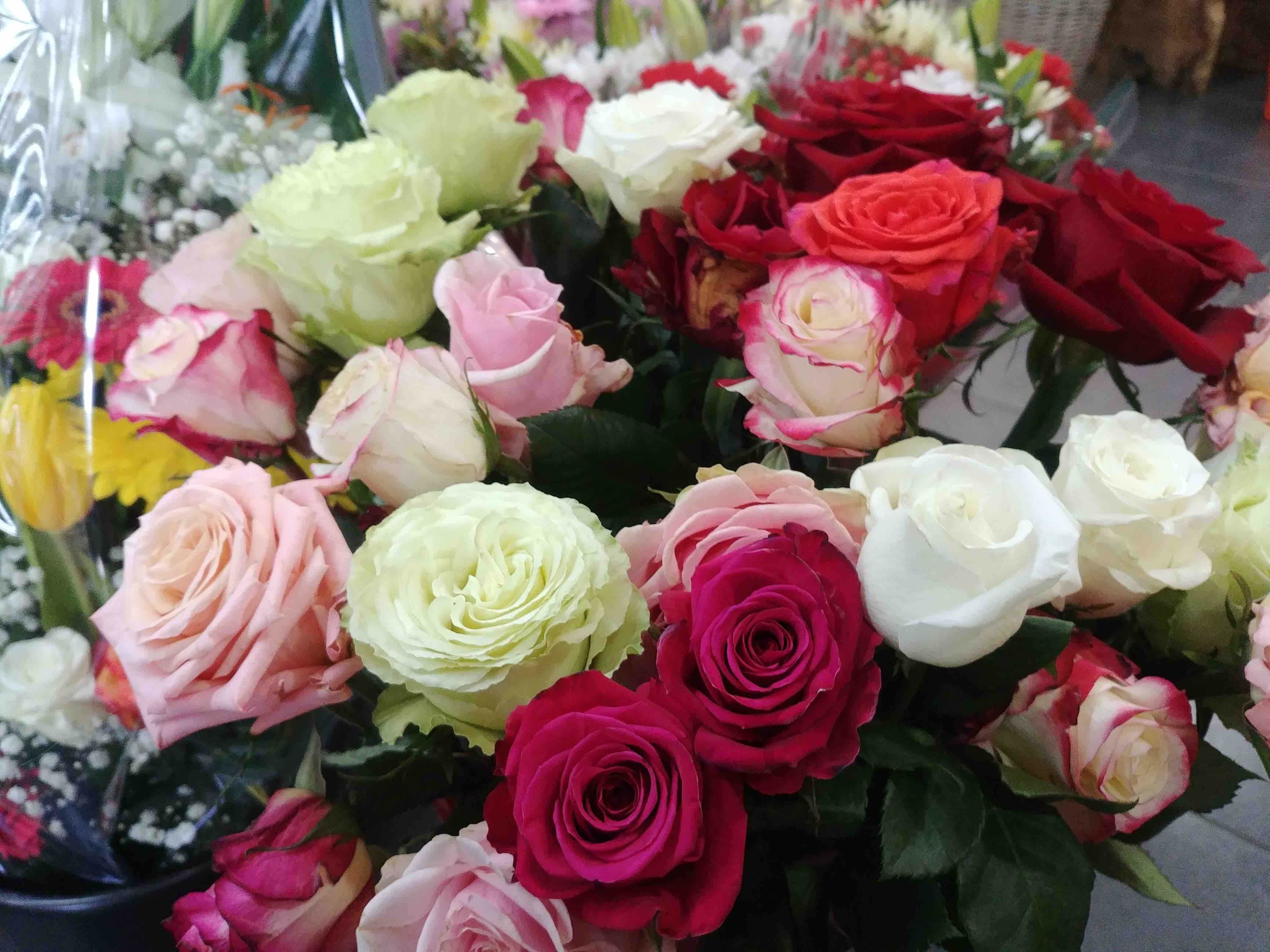 Le site pour comprendre l'Énergie de façon simple - Site des petits ...