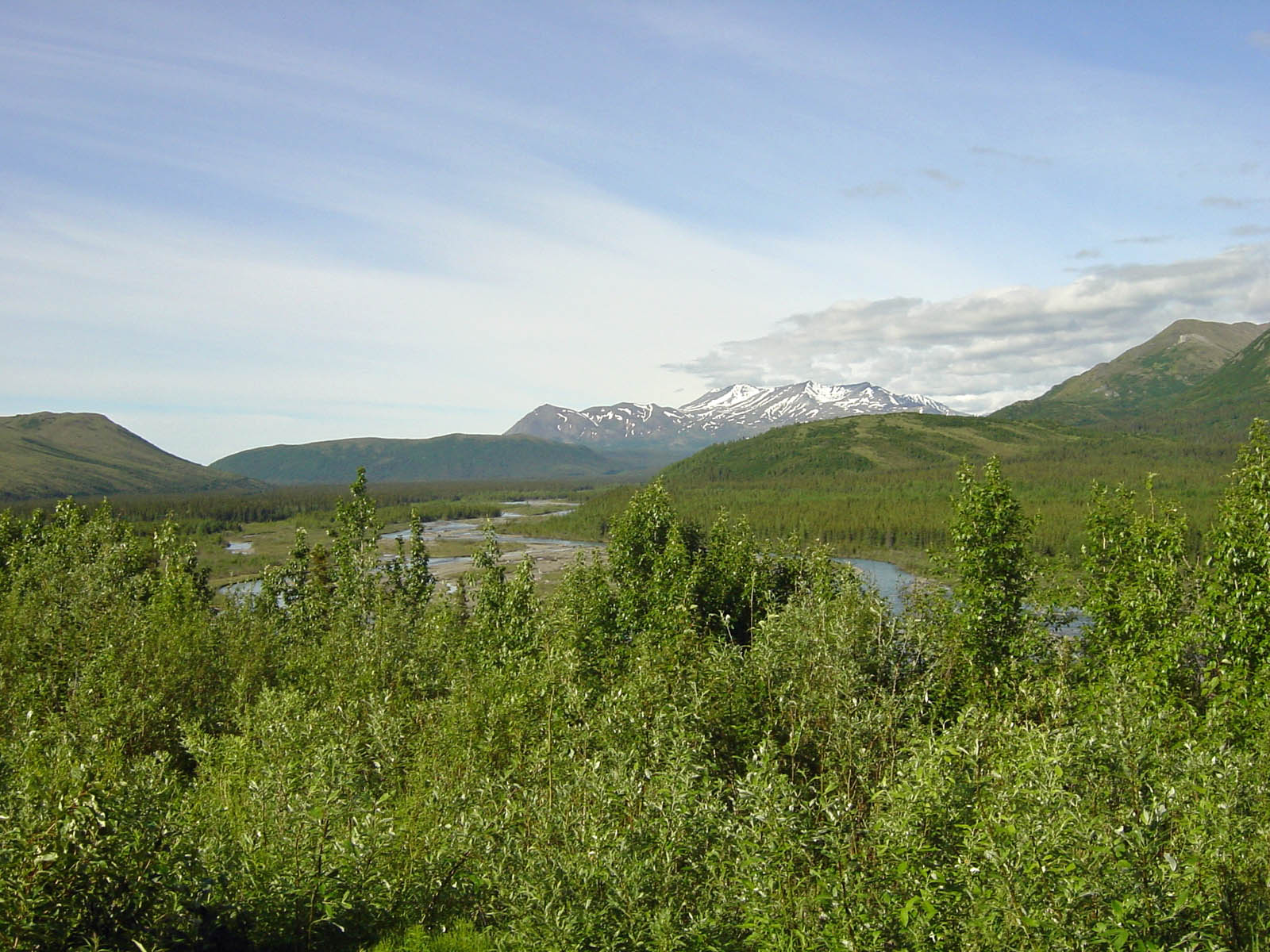 Denali Viewpoint North - Denali Rainbow Village RV-Park - bernhards ...