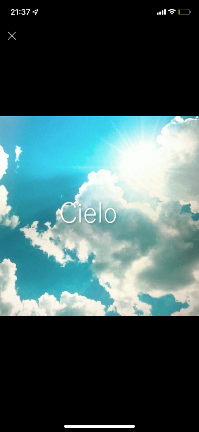 バレーボールサークル Cielo - cielo-yokohama ページ！