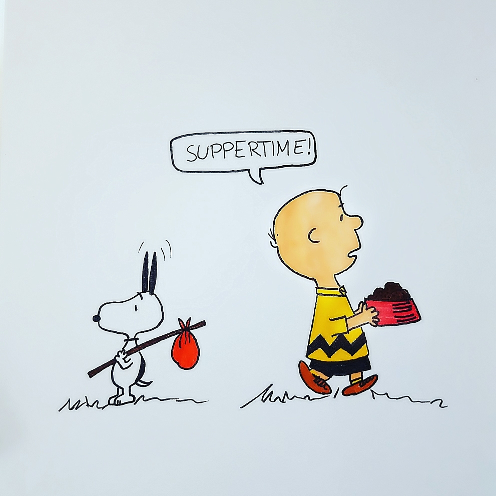 All about Snoopy! - snoopyyydog