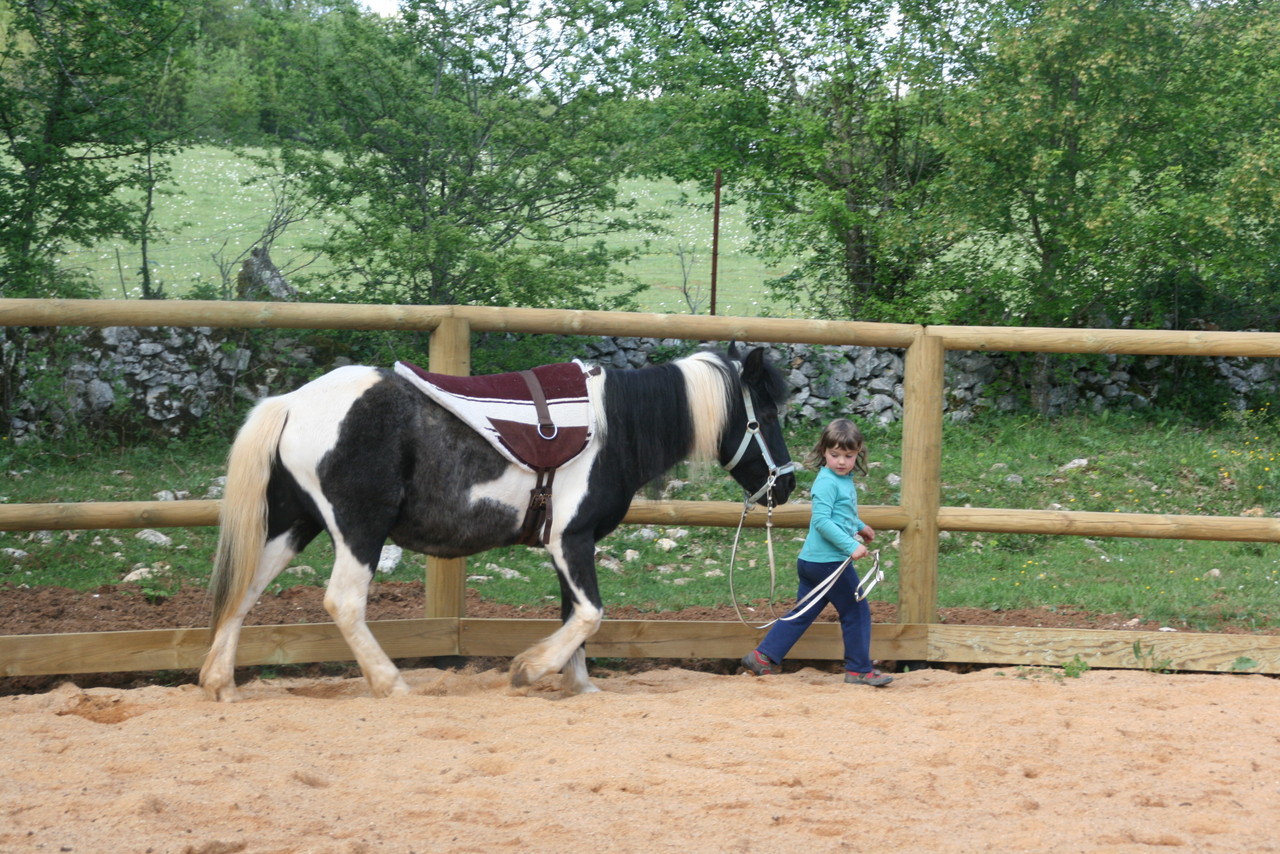 L'ATELIER CHEVAL - Site de otium82