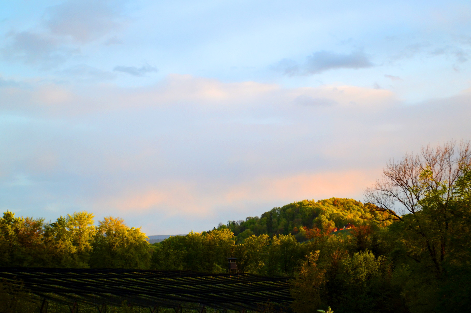 Galerie - Obstgut am Ottenberg