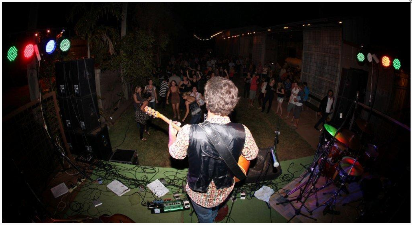 Wazinator Stompbox - Wazinator Stompbox Professional Instruments