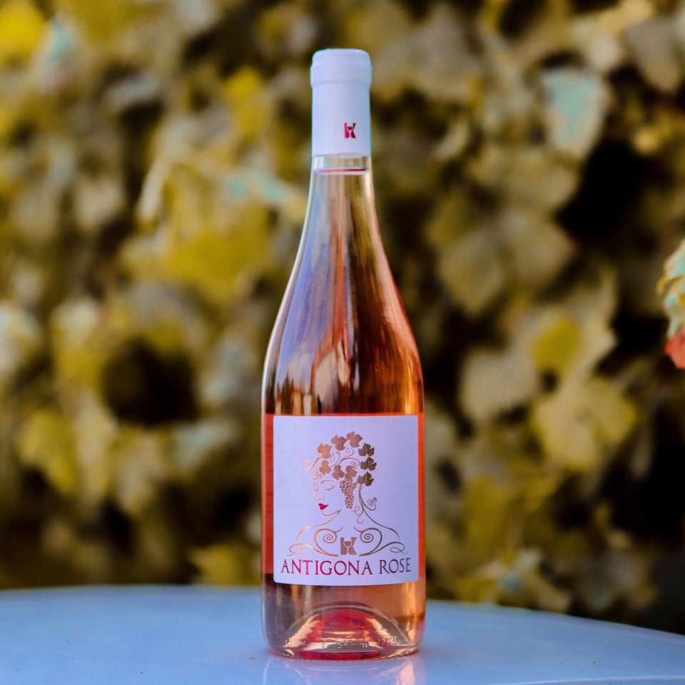 Antigoneia - Stadt der ersten Liebe - Weinshop
