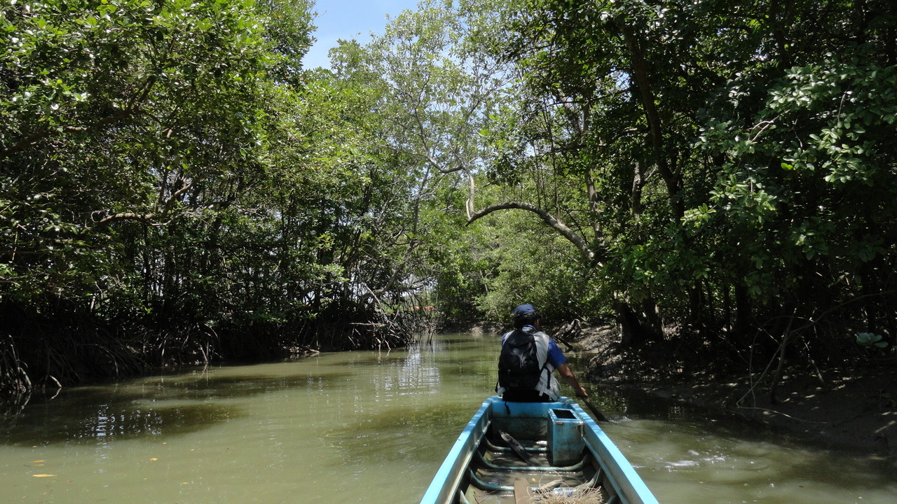 PIERRE TAILLARDAT - Website of Alan D Ziegler