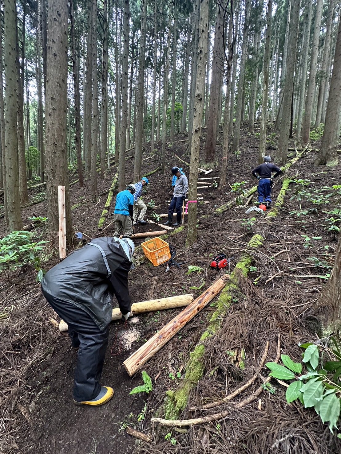 天狗堂登山道整備 - ホーム