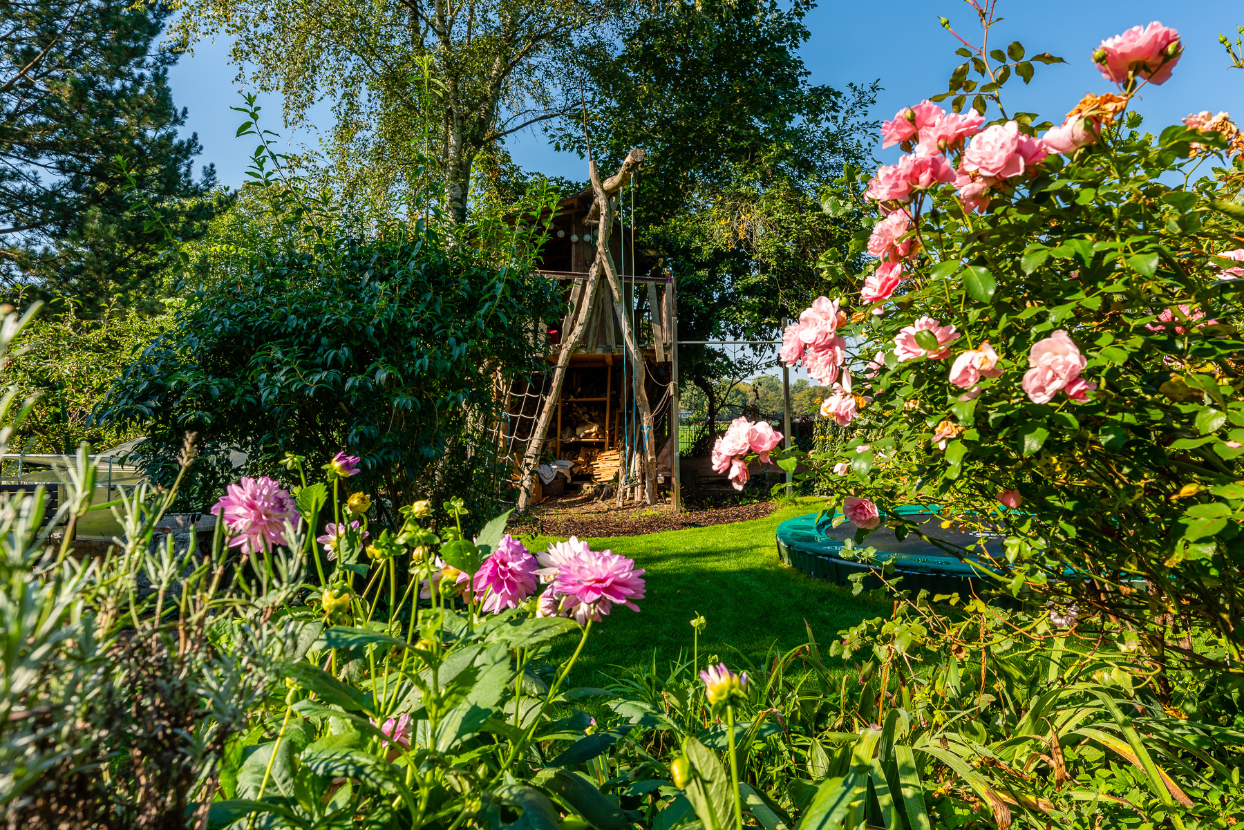 Garten- und Landschaftsbau - Deine Lieblingsgärtner