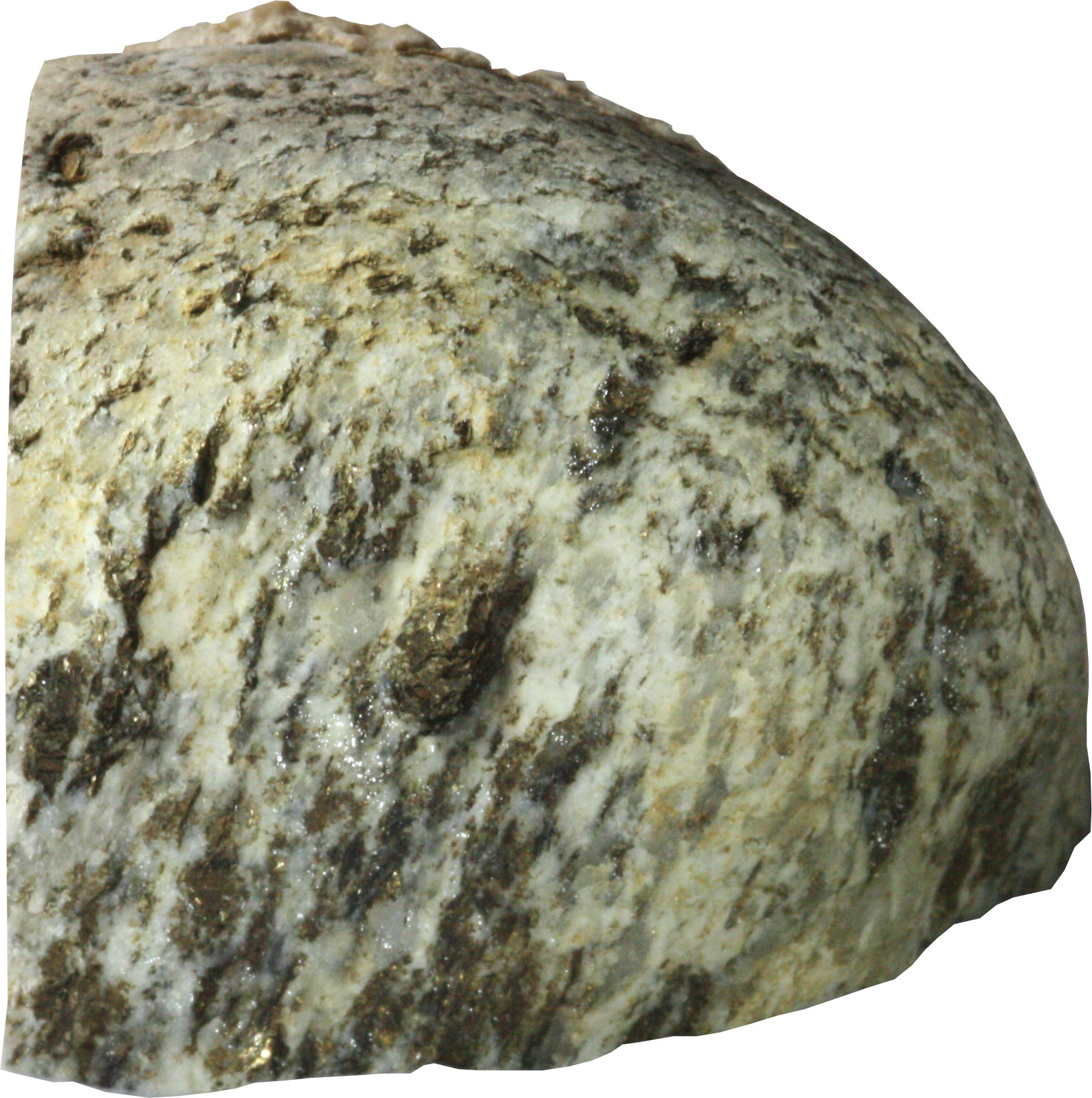 Katzengold - schauplatz-norma-karraschs Webseite!