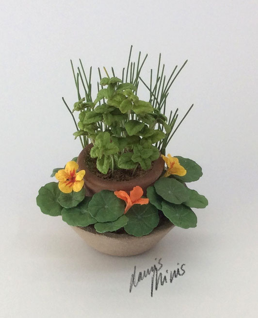 Galerie - Lamis Minis