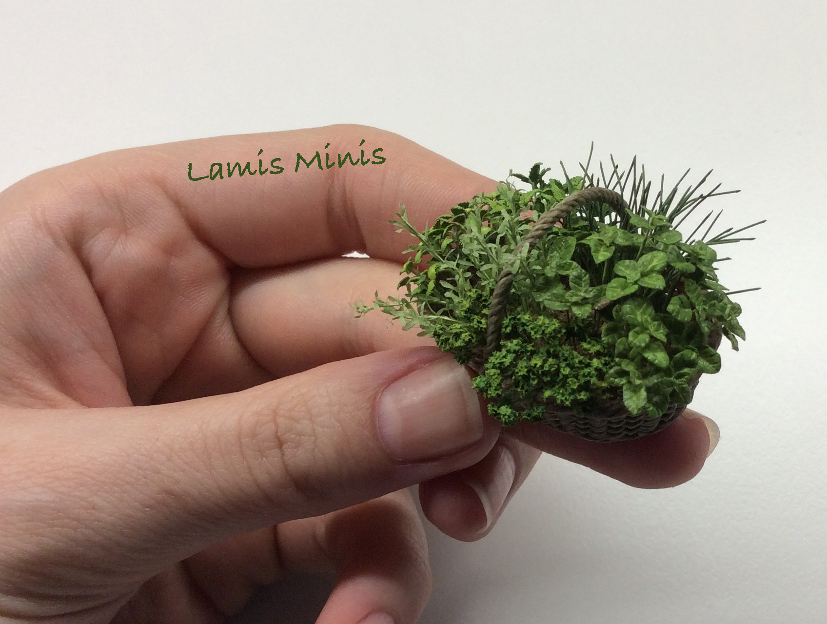 Galerie - Lamis Minis