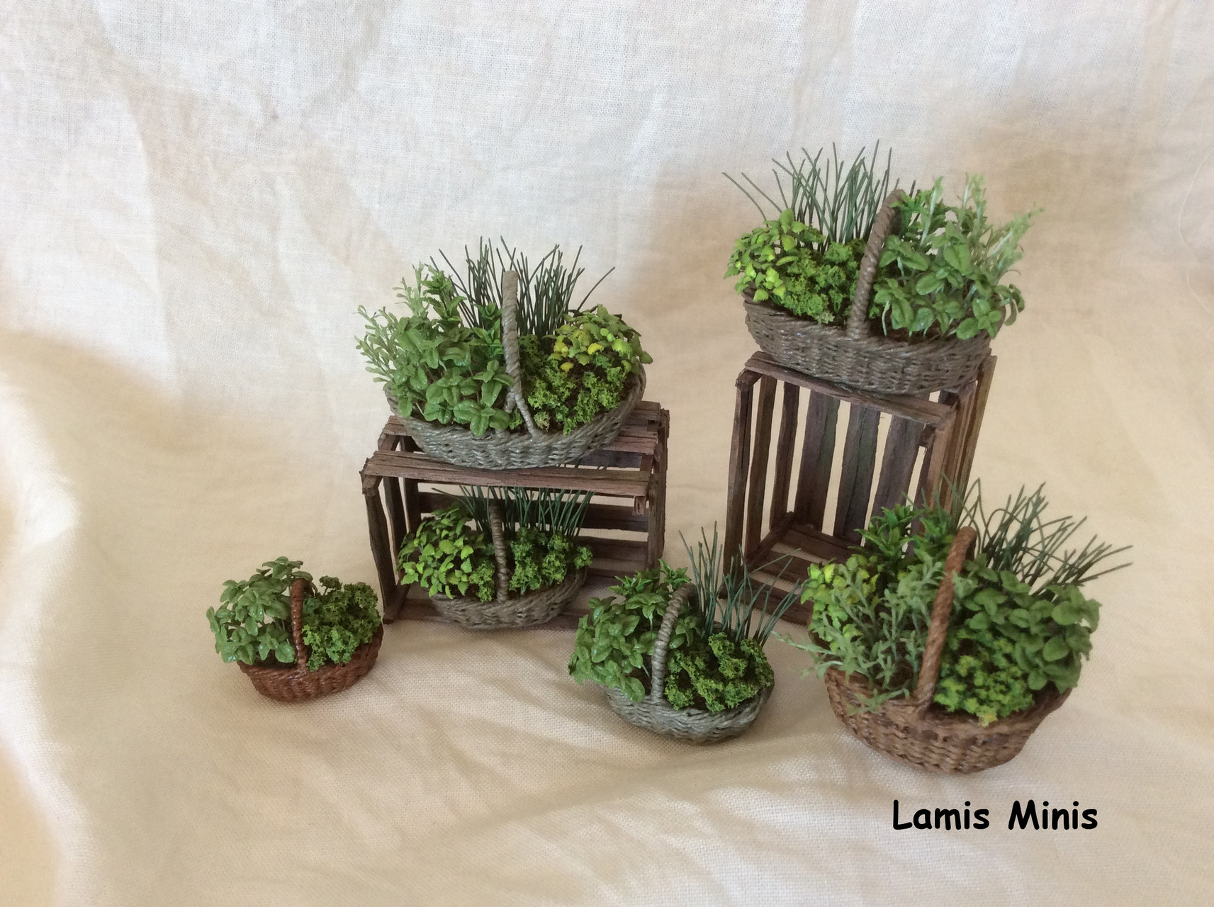 Galerie - Lamis Minis