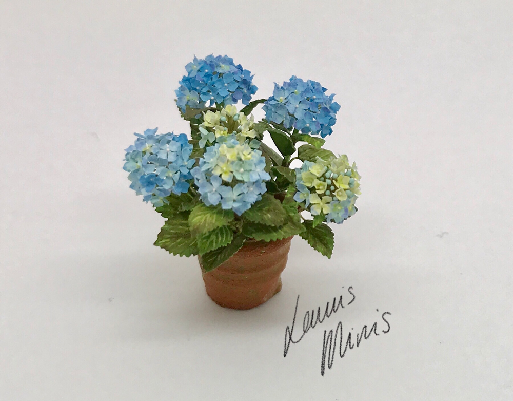 Galerie - Lamis Minis