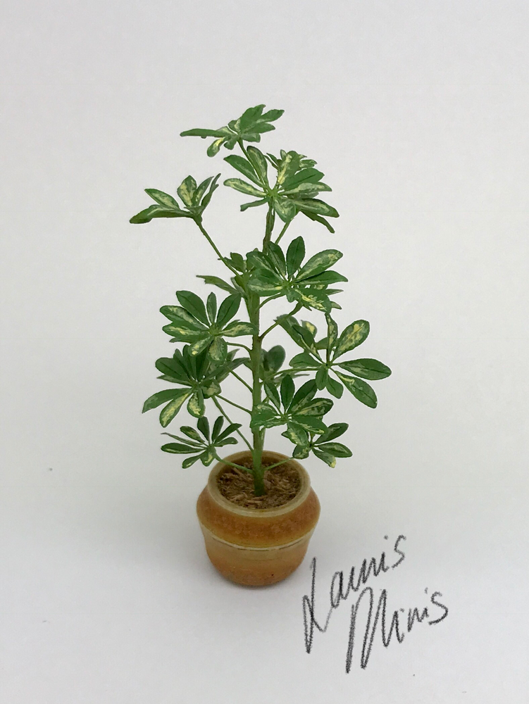 Galerie - Lamis Minis