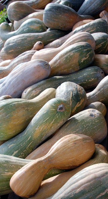 Cyprus Interiors II: The Mesaoria - fergusmurraysculpture.com