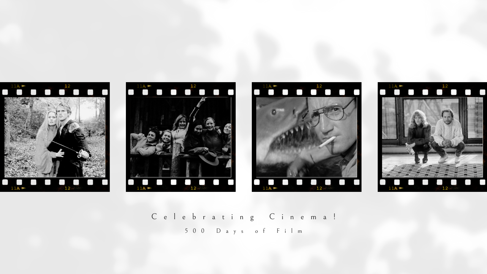 Film Ratings - 500 Days Of Film