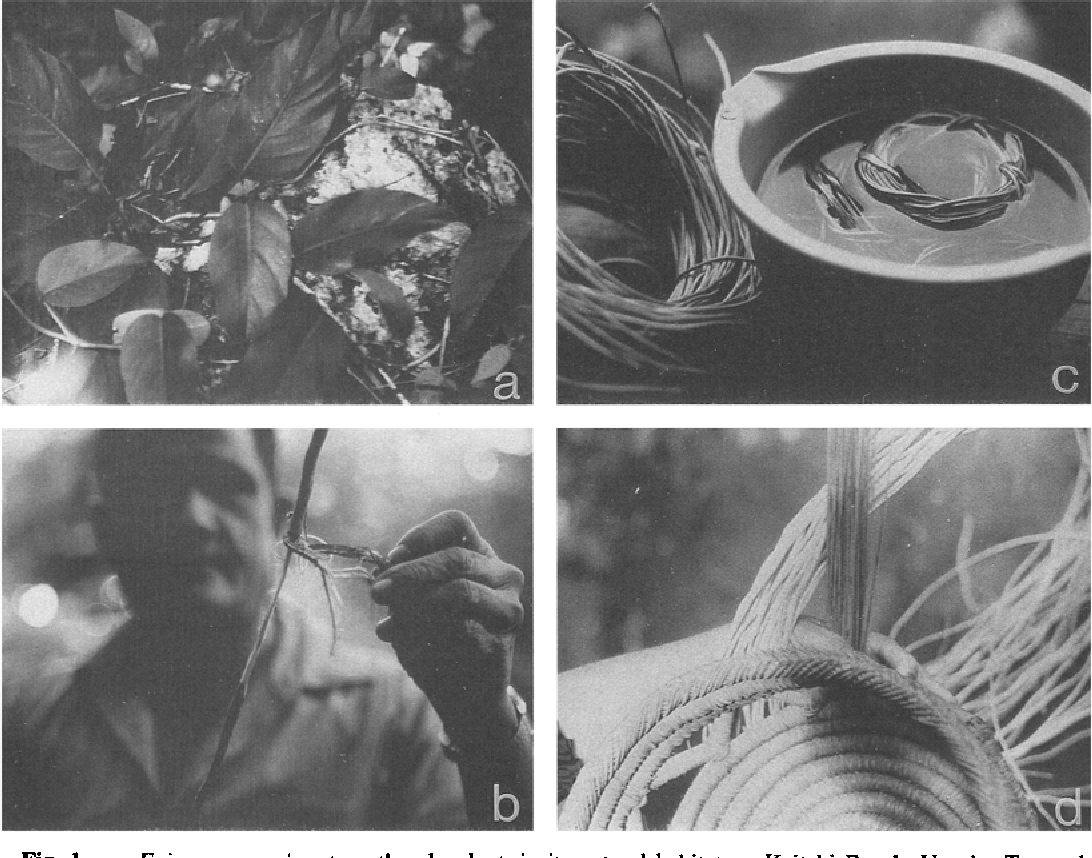 Making Kato Alu - pasifikaweaving