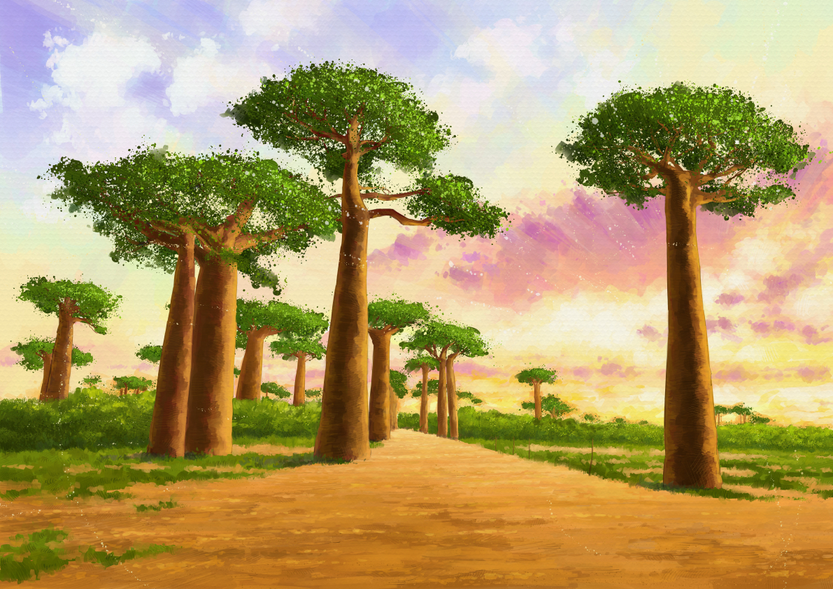 "Sankofa 美心" とは - sankofa-bijin ページ！